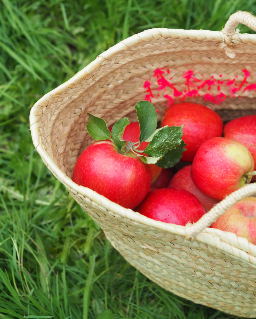 Pink Lady, la pomme qui voit la vie en rose - Kimaparis